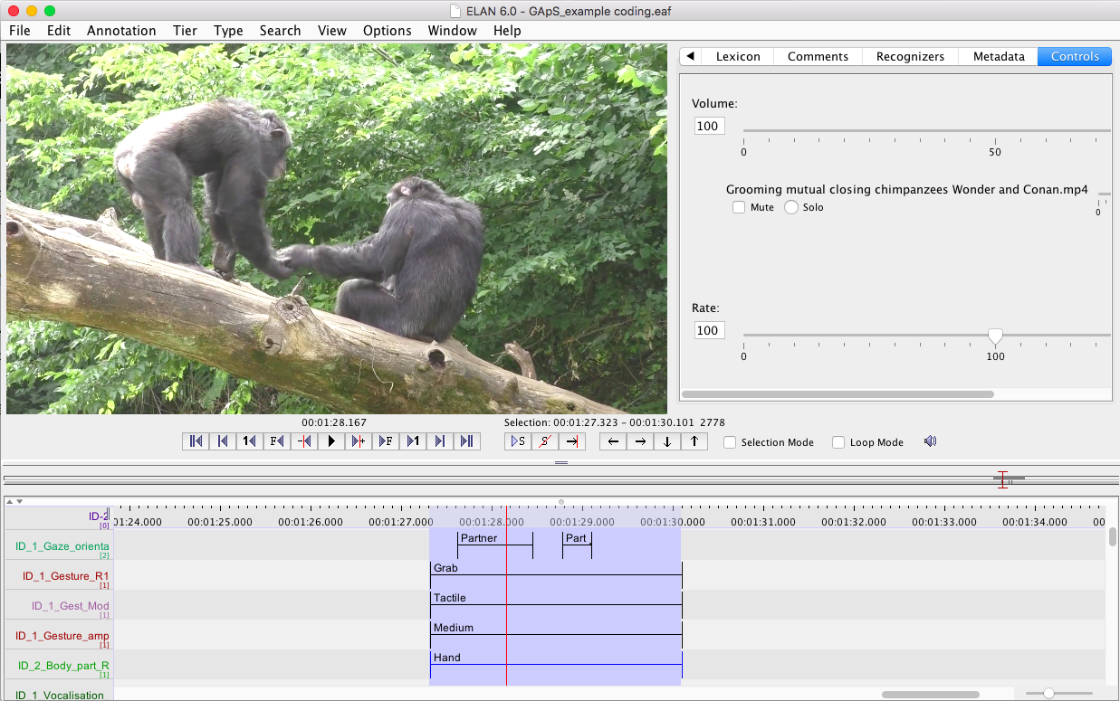 Coding ape signals in ELAN with the GApS Coding Scheme - GApS